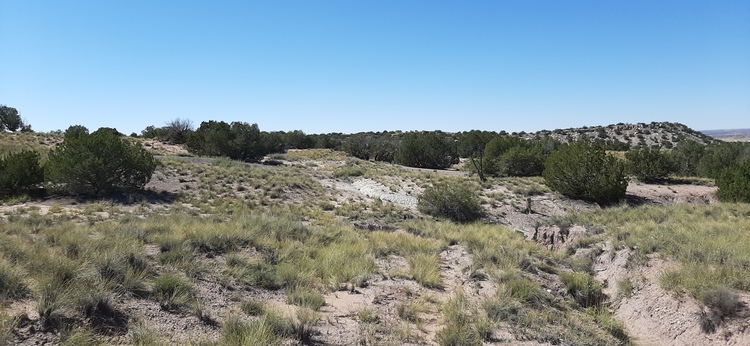 N7351, Sanders, AZ 86512, USA Land for Sale | Landmodo