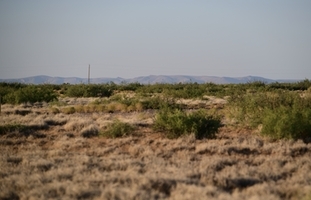 SUNSHINE VALLEY RANCHETTES UNIT 8 Land for Sale | Landmodo