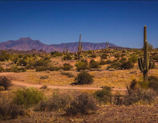 Mohave County, AZ, USA Land for Sale | Landmodo