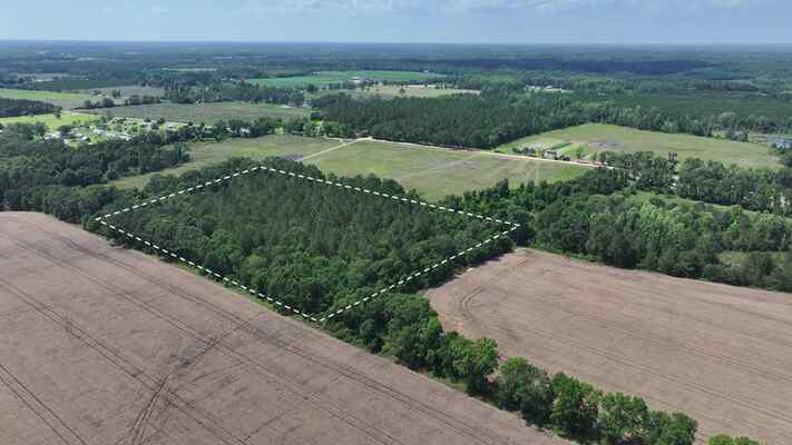 696 Hires Rd, Jesup GA 31545 Land for Sale | Landmodo