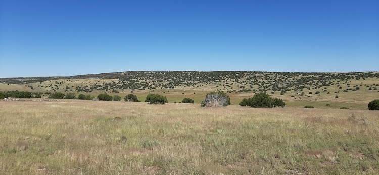 Apache County, AZ Land for Sale | Landmodo