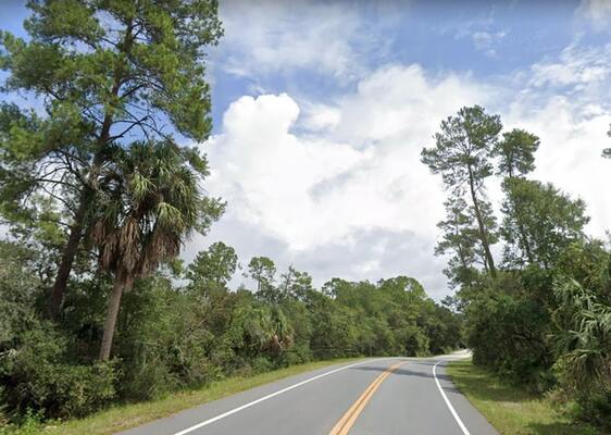 Co Rd 42, Paisley, FL, USA Land for Sale | Landmodo