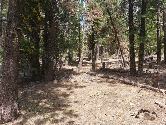 Woodleaf Dr, California Pines Subdivision, Alturas, CA Land for Sale ...