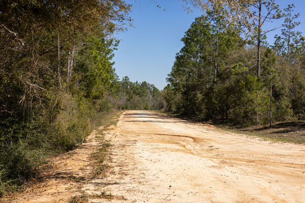 "Bay Dr Marianna, Florida 32448" Land for Sale | Landmodo