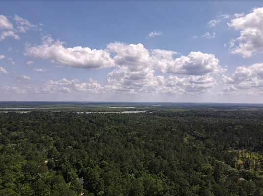 Red Hawk Ln, Trinity, TX 75862 Land for Sale | Landmodo