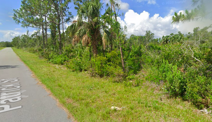 2301 Patrick St., Port Charlotte, FL, 33953 Land for Sale | Landmodo