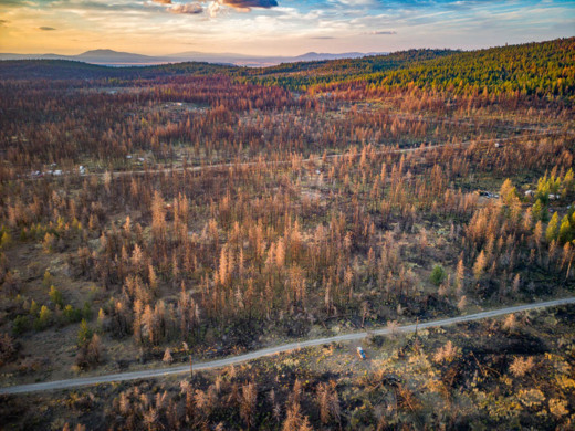 Elk Ln, Bonanza, OR 97623 Land for Sale | Landmodo