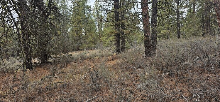 Grizzly Ln, Bonanza, OR 97623 Land for Sale | Landmodo