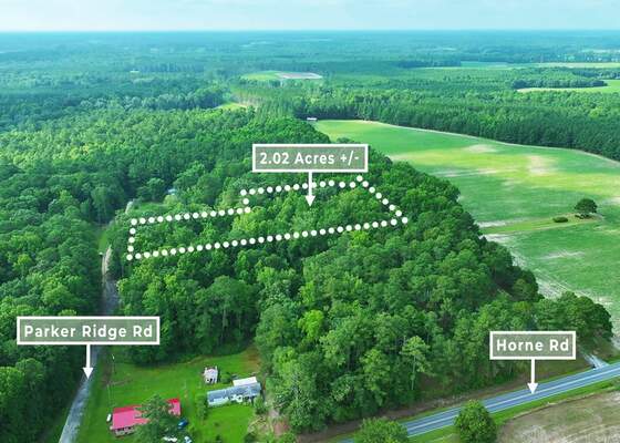 0 Parker Ridge Rd, Pendleton, NC 27862 - Northampton County Land for ...