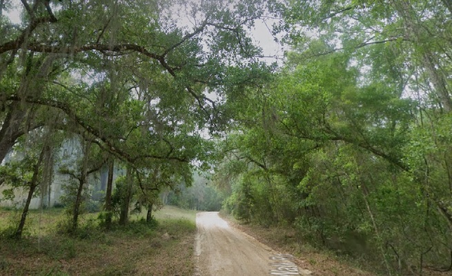 Possum Walk Rd. Satsuma, Florida Land for Sale | Landmodo