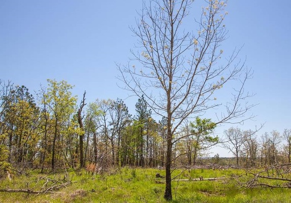 Eagles Nest Ranch, Oklahoma, USA 65466 Land for Sale | Landmodo