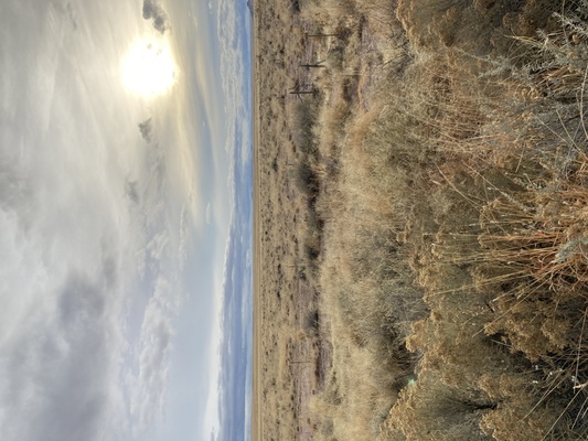 Navajo County, AZ Land for Sale | Landmodo