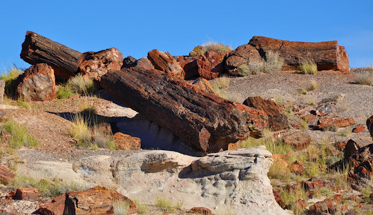 Apache County, Arizona, USA Land for Sale | Landmodo