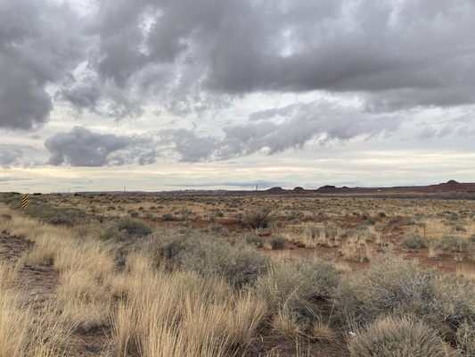 Navajo County, AZ Land for Sale | Landmodo