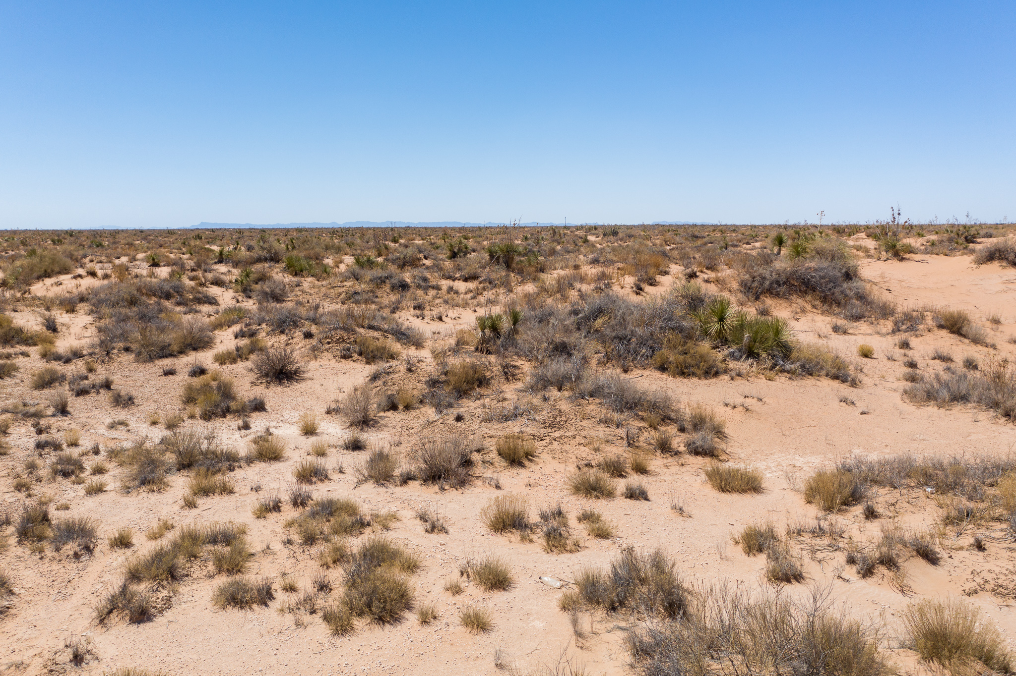 Tallieu Ave, Clint, El Paso, Texas, 79836 Land for Sale | Landmodo